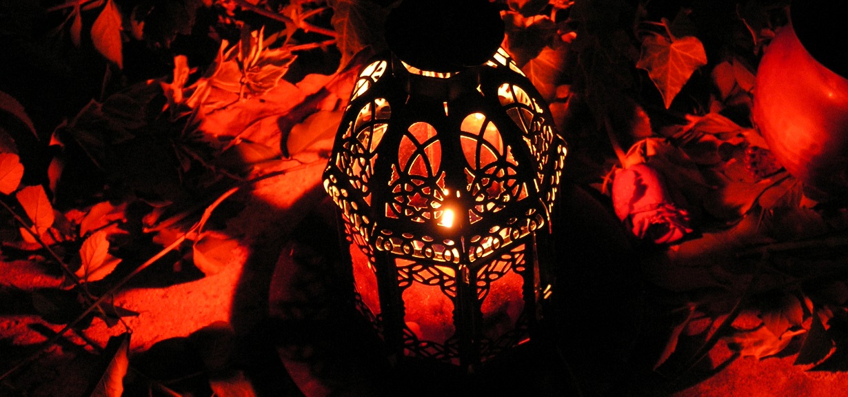 Get Involved | Pagan Awareness Network